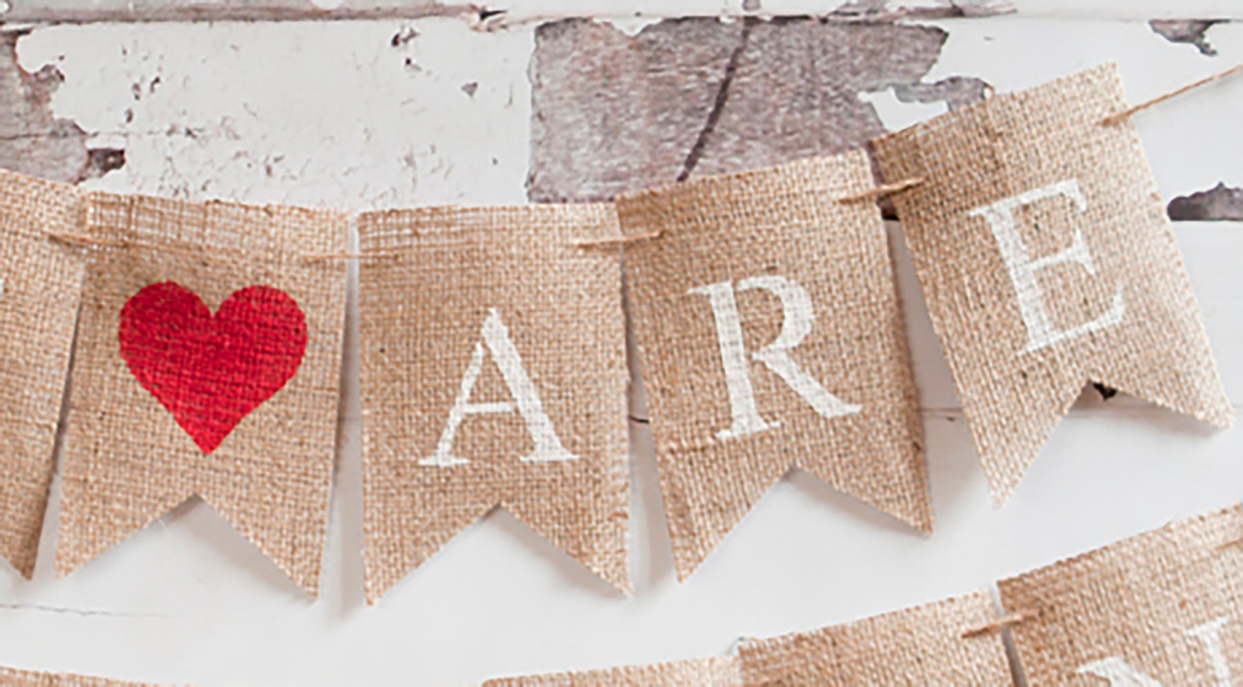 Baby Shower Decor, We Are Expecting Banner – Swanky Party Box