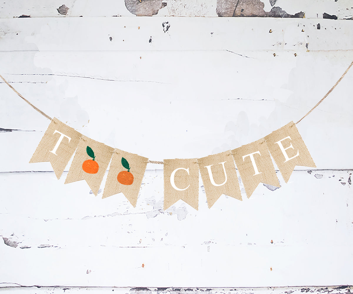 Too Cute Banner | Tangerine Baby Shower Decor | B627 – Swanky Party Box