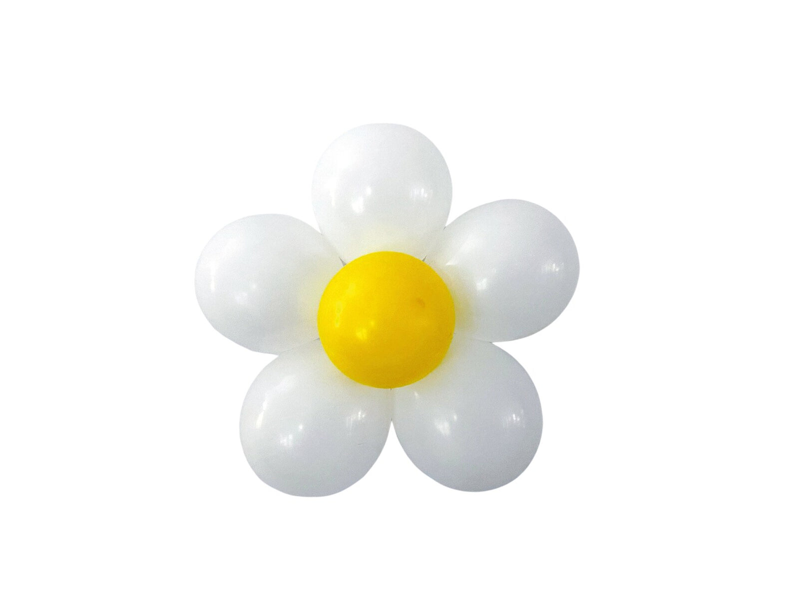 Daisy Party Decorations – Swanky Party Box