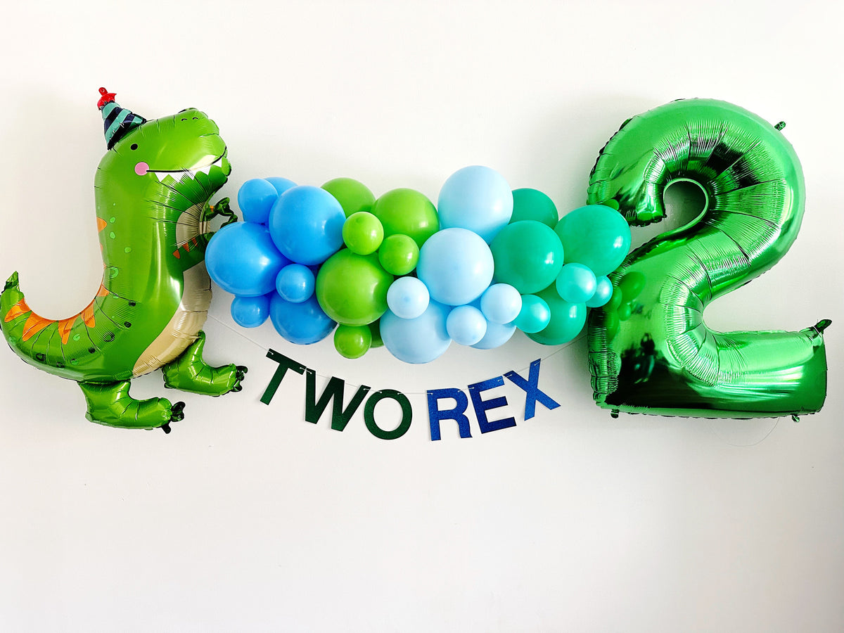 Two Rex Birthday Party Collection | Dinosaur Second Birthday Decoratio ...