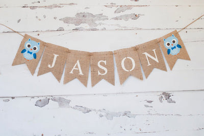 Custom Owl Decor, Blue Owl Personalized Banner – Swanky Party Box